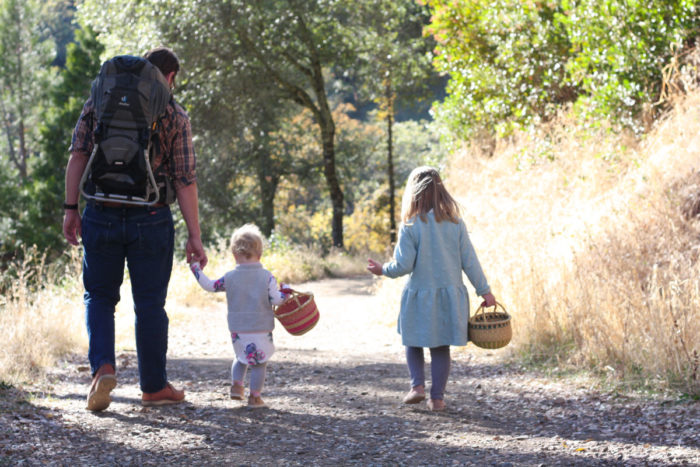 Fun Outdoor Activity: Identifying Nature Patterns - WinterKids