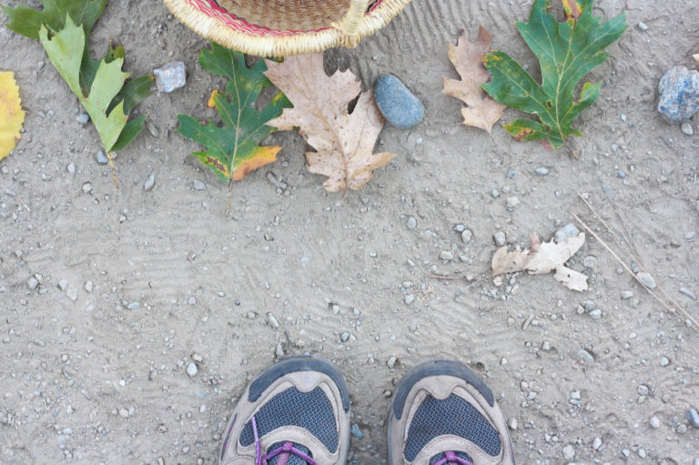 Fun Outdoor Activity: Identifying Nature Patterns - WinterKids