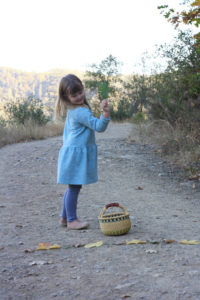 Fun Outdoor Activity: Identifying Nature Patterns - WinterKids