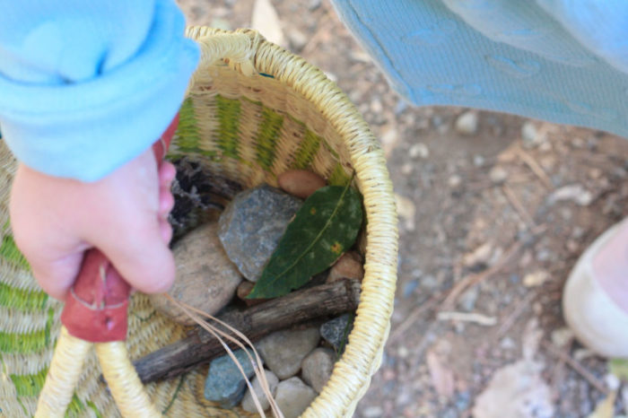 Fun Outdoor Activity: Identifying Nature Patterns - WinterKids