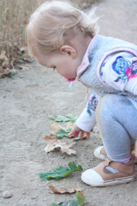 Fun Outdoor Activity: Identifying Nature Patterns - WinterKids