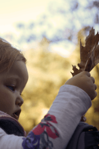 Fun Outdoor Activity: Identifying Nature Patterns - WinterKids