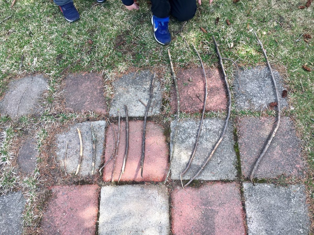 Stick Seriation (aka: Arranging Sticks) - WinterKids