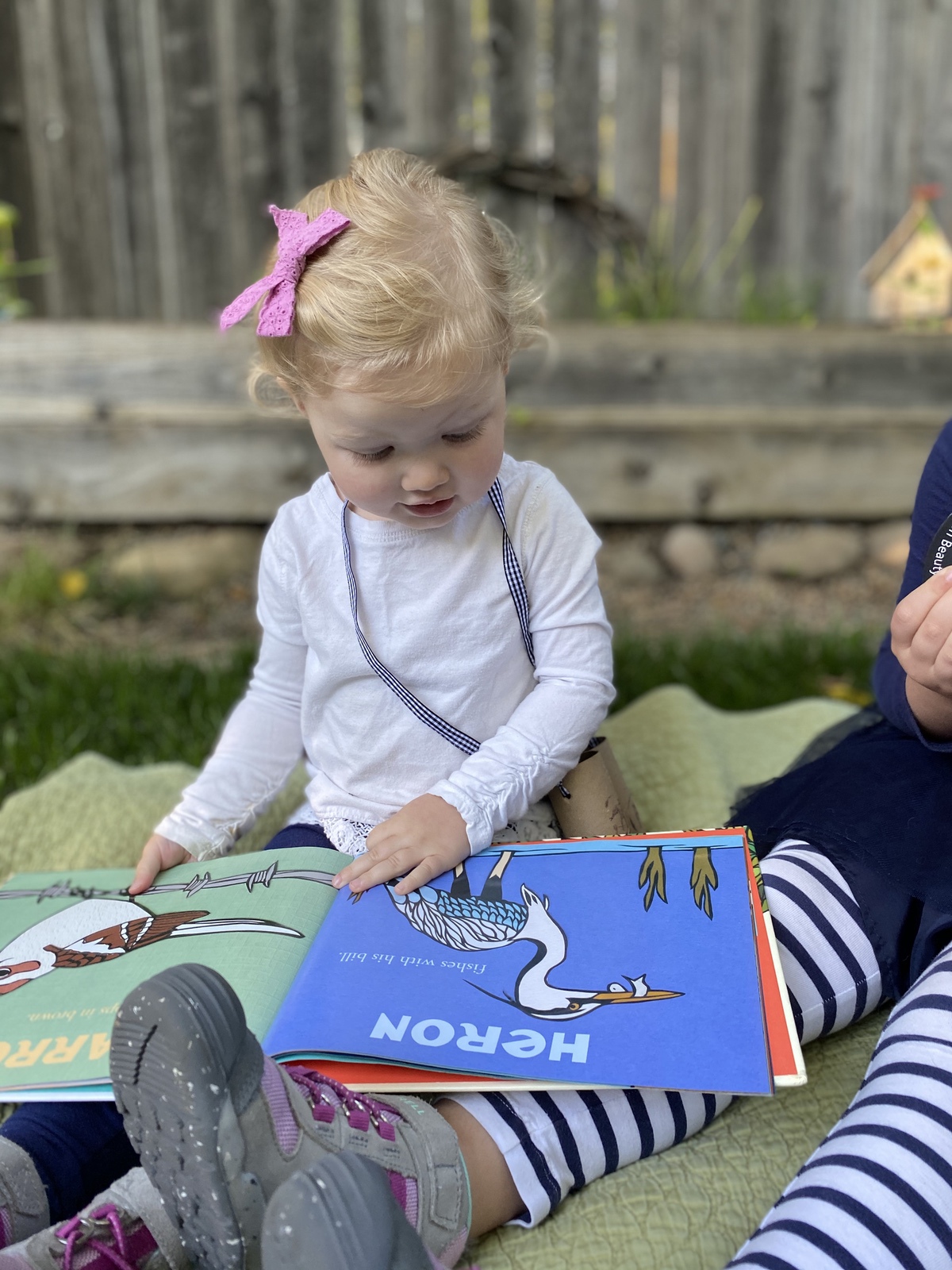 MOVE. LEARN. EXPLORE. with WinterKids: BIRDS - WinterKids