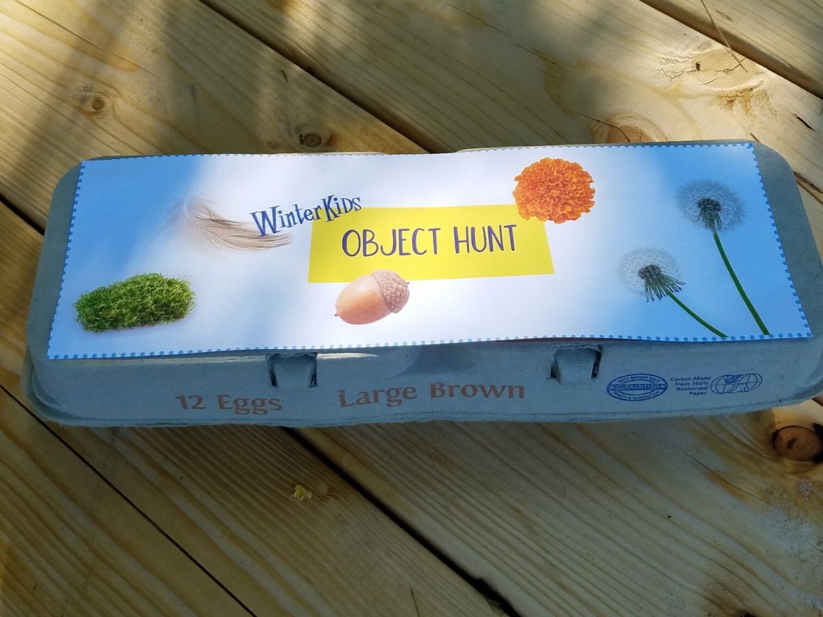 How to Create Fun Nature Treasure Hunts Using Egg Cartons - WinterKids
