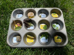 How to Create Fun Nature Treasure Hunts Using Egg Cartons - WinterKids