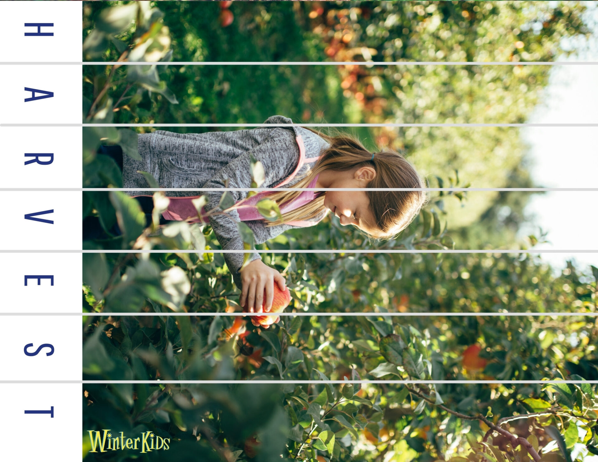 Autumn Fun Puzzles for Preschoolers - WinterKids