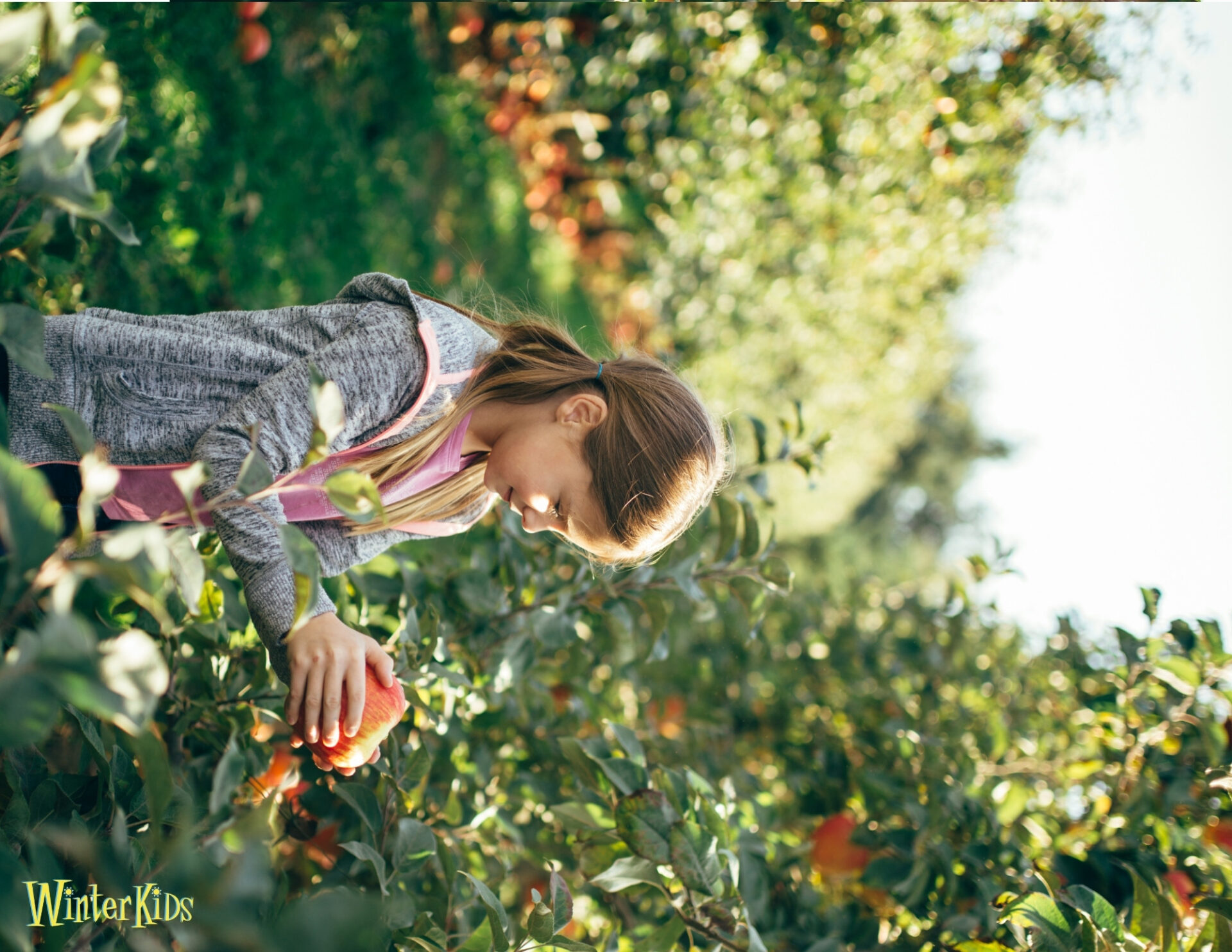 Autumn Fun Puzzles for Preschoolers - WinterKids