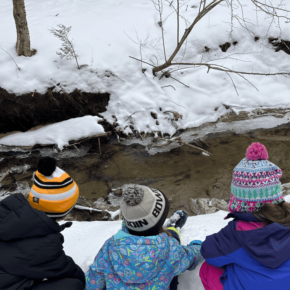 Take Your Classroom Outside Winterkids Learn Outside Guide
